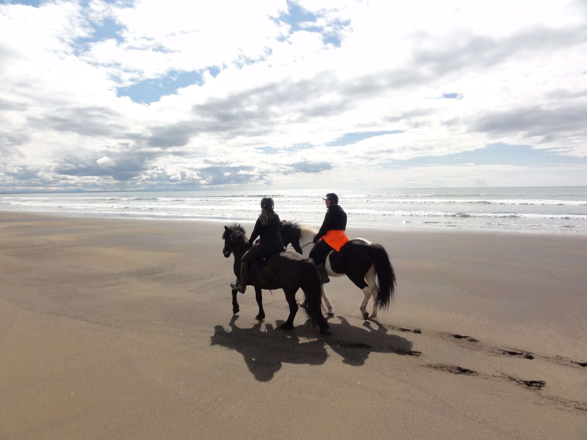 Black Beach Horse Riding in South Iceland - Iceland Travel Guide